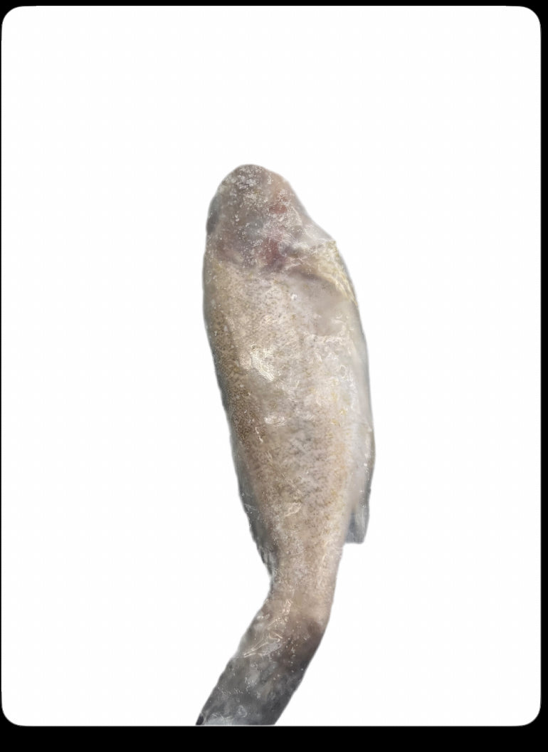 Flower Grouper - 1 pc – Nikmart Halal Frozen